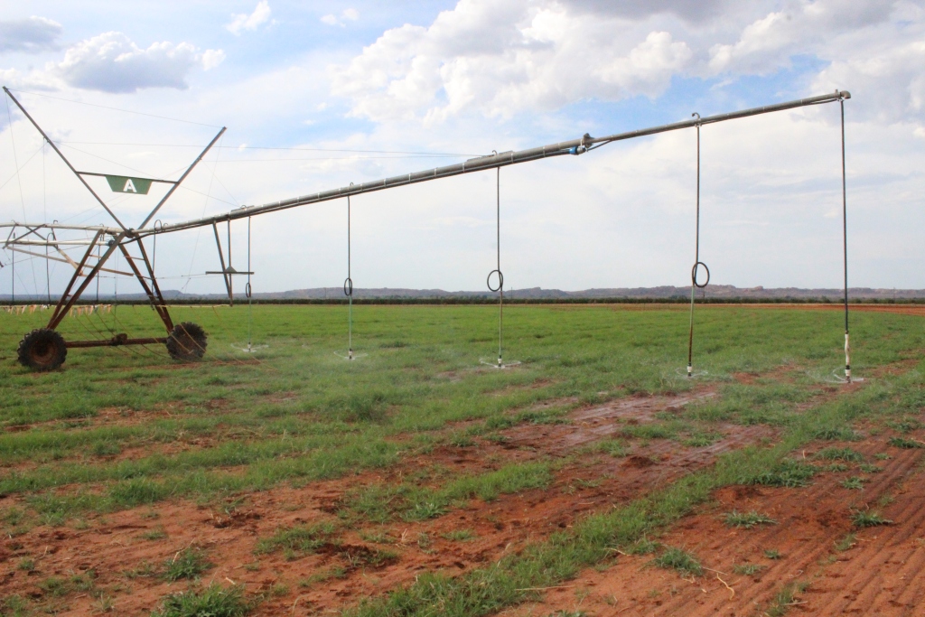 Ramotswa – Ngotwane System - Conjunctive water management across ...